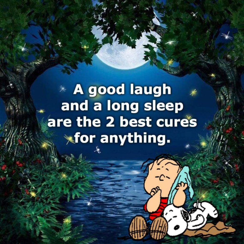 A good laugh and a long sleep are the 2 best cures for anything