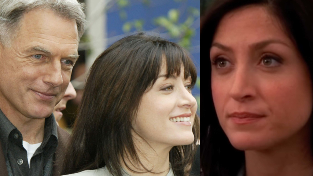 What happened to Caitlin Todd on ‘NCIS’ – SQW