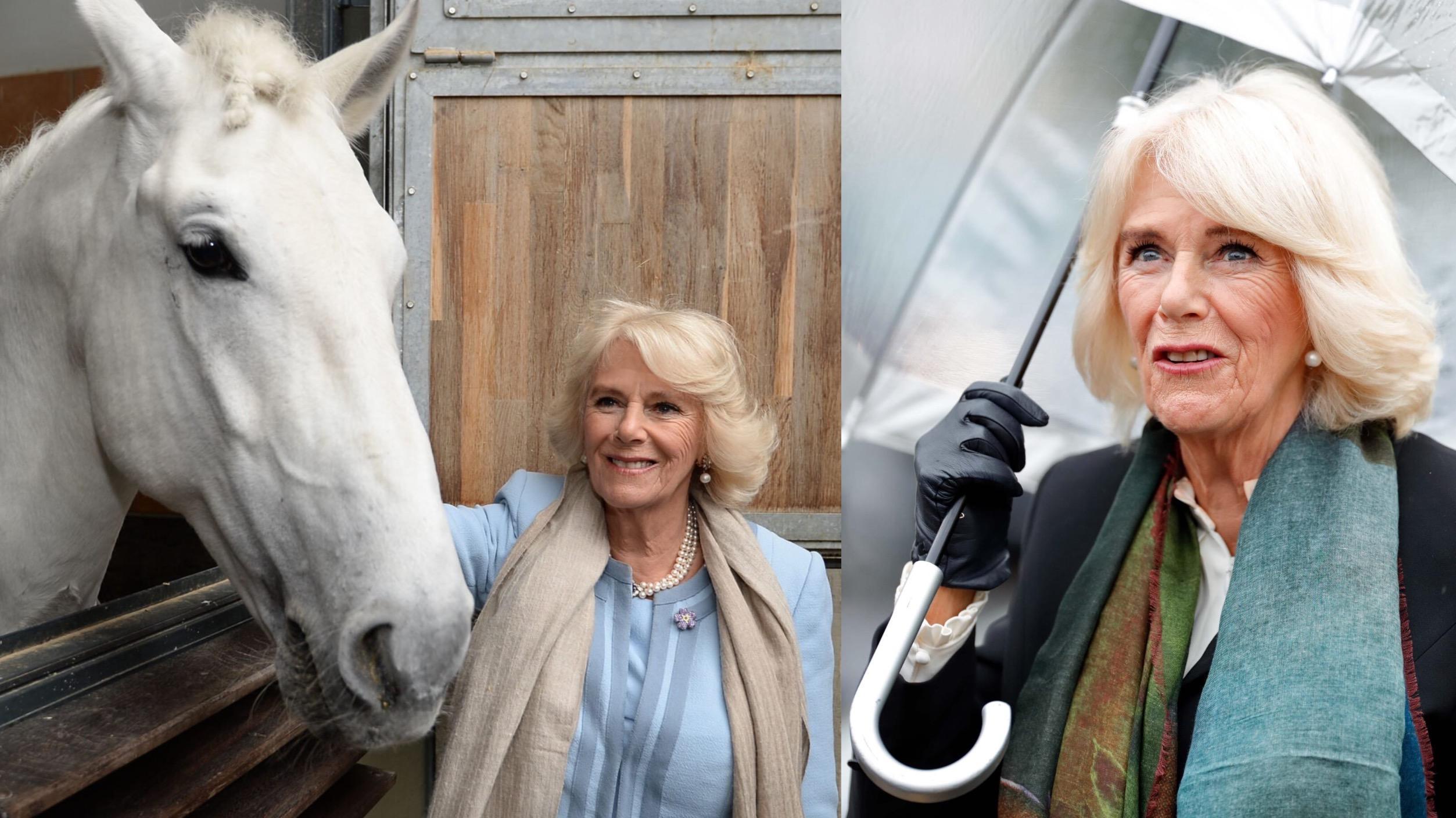 Camilla, the Queen Consort, has stated that she is “too elderly” to go ...